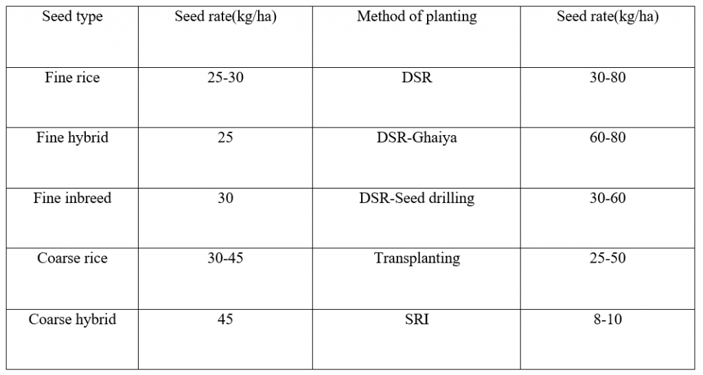 Method of raising seedlings of rice in a nursery bed - कृषि पत्रिका